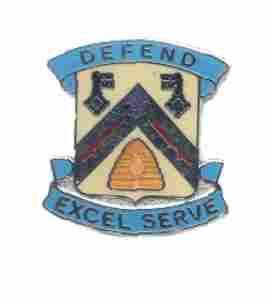 307th Quartermaster Battalion Unit Crest - Saunders Military Insignia