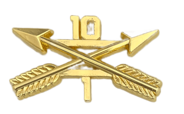 10-1 Special Forces Officer Regimental Branch Of Service Insignia Badge ...
