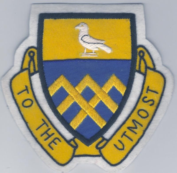 101st Cavalry Regiment Patch - Saunders Military Insignia