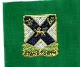 102nd Infantry Regiment, Patch - Saunders Military Insignia