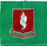 118th Military Police Patch - Saunders Military Insignia