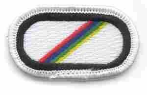 124th Military Intelligence Comapny D (LRSD) Oval - Saunders Military ...