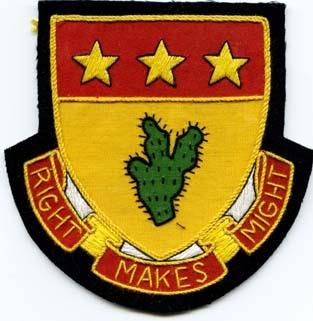 23rd Cavalry Reconnaissance Squadron Patch, Handmade - Saunders ...