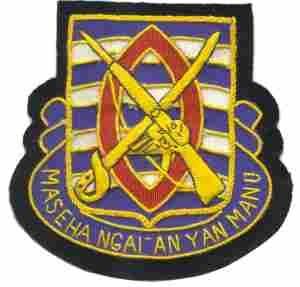 294th Infantry Regiment Patch, Handmade - Saunders Military Insignia