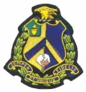 346th Infantry Regiment Patch, Handmade - Saunders Military Insignia