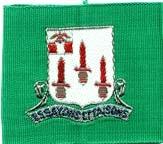 54th Engineer Battalion Patch - Saunders Military Insignia