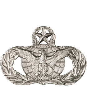 Air Force Master Force Protection Badge – Saunders Military Insignia