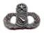 Air Force Master Weapons Controller Badge Old Silver Finish – Saunders ...