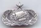 Air Force Senior Information Management badge in old silver finish ...