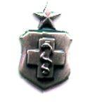 Air Force Senior Medical Technologist badge in old silver finish ...