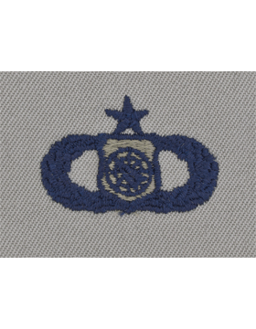 AIR FORCE SENIOR WEAPONS CONTROLLER BADGE ON ABU CLOTH – Saunders ...