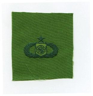 Air Force Senior Weapons Controller Badge On Subdued Cloth – Saunders ...
