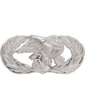 Air Force Transportation Badge Chrome Finish Metal Elite – Saunders ...