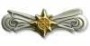 BOAT FORCE OPERATION ADVANCED Badge - Saunders Military Insignia