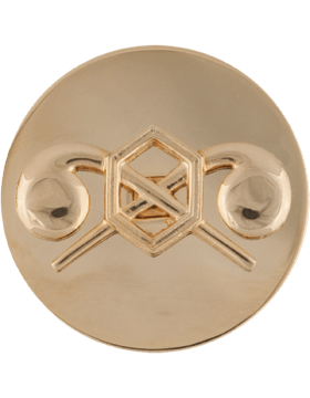 Chemical Enlisted Branch Of Service collar insignia - Saunders Military ...