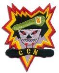 Command and Control North (Special Forces) Patch - Saunders Military ...