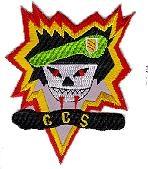 Command and Control South (Special Forces) Patch - Saunders Military ...