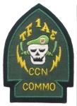 Command and Control Task Force 1AE Commo (Special Forces) Patch ...