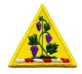 Connecticut National Guard Full Color Patch - US Army Military Insigni ...