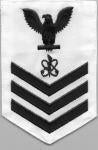 Electronic Warefare Technican Navy Rating (EW) - Saunders Military Insignia
