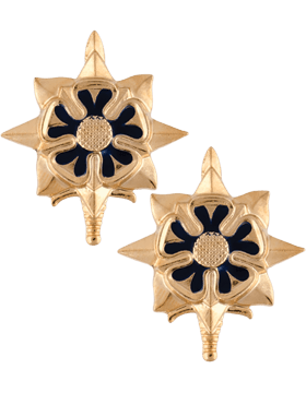 Military Intelligence Officer Army branch of service badge - Saunders ...