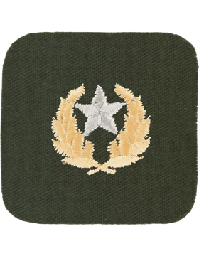 OPFOR Hamby Second Class rank insignia with Silver Star - Saunders ...