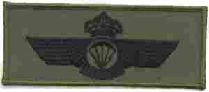 Spain Basic subued Foreign Jump Wing - Saunders Military Insignia