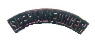 Special Forces Tab in metal - Saunders Military Insignia