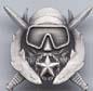 Special Operations Diving Supervisor badge in silver oxide - Saunders ...
