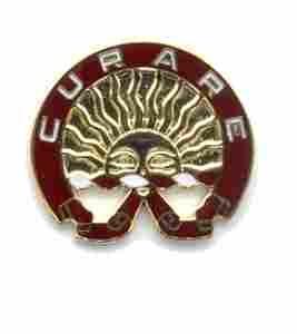 US Army 224th Support Battalion - was 24th Medical Unit Crest ...