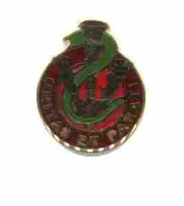 US Army 228th Combat Support Hospital Unit Crest - Saunders Military ...