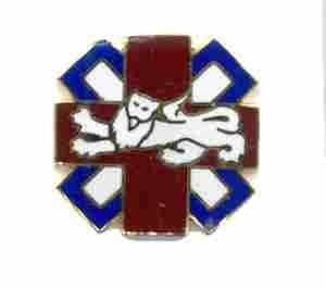 US Army 364th Field Hospital Unit Crest - Saunders Military Insignia
