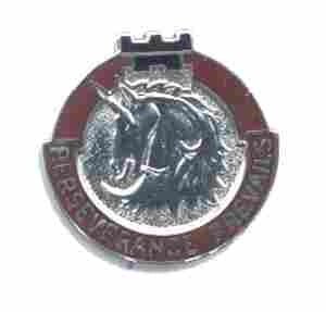 US Army 49th Medical Battalion Unit Crest - Saunders Military Insignia