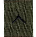 US Army Private gortex rank isnignia - Saunders Military Insignia