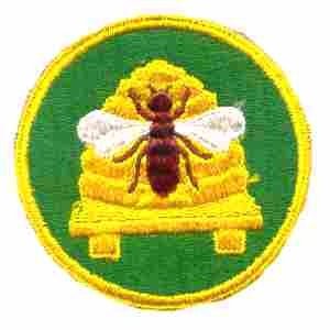 Utah National Guard Patch - 1st Design – Saunders Military Insignia